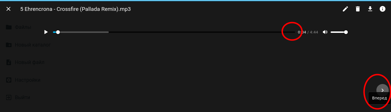 Automatically switch to the next song · Issue #1314 · filebrowser/filebrowser · GitHub
