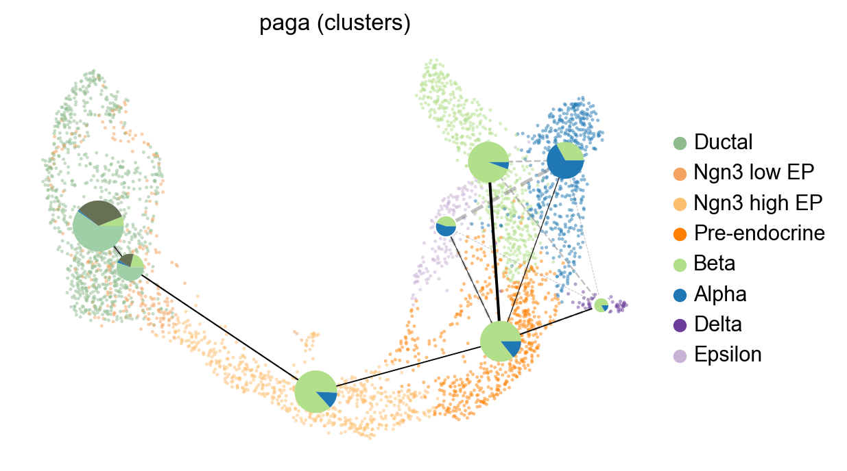 PAGA with Pie Charts · Issue #25 · theislab/cellrank · GitHub