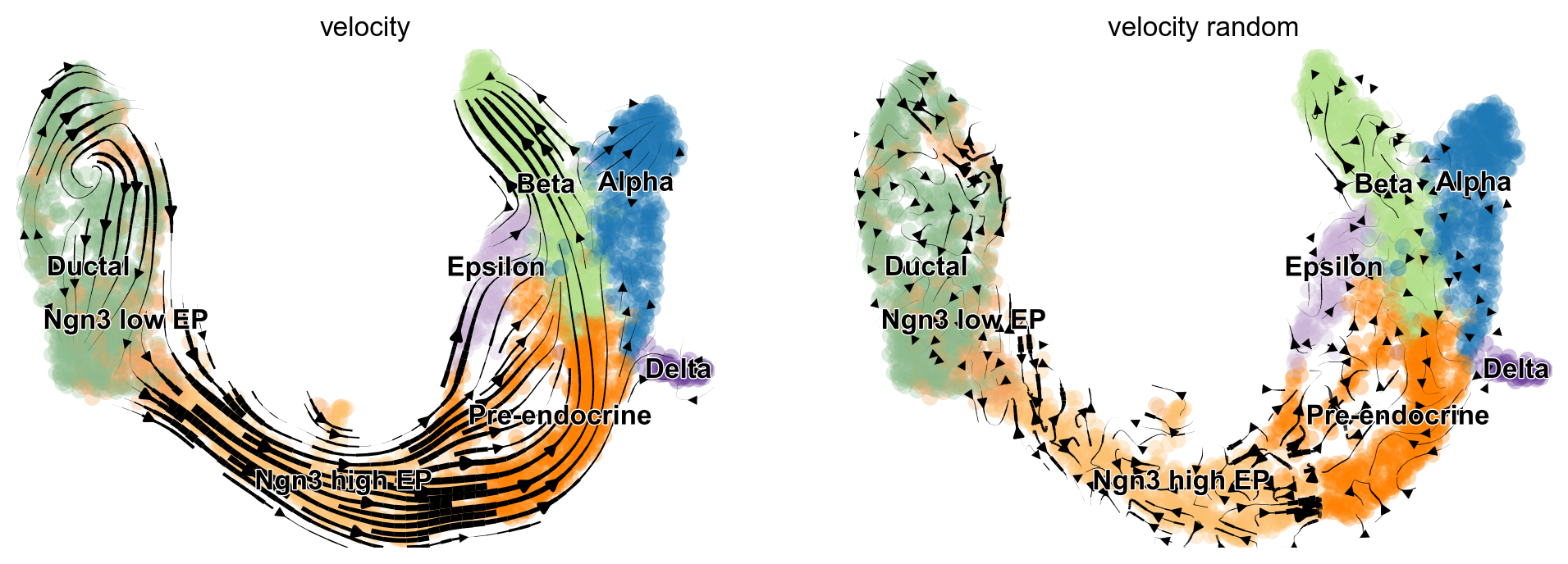Negative control for RNA velocity results · Issue #285 · theislab/scvelo · GitHub