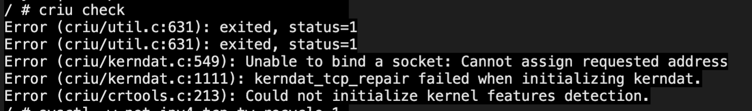 Criu check :Error (criu/kerndat.c:549): Unable to bind a socket: Cannot assign requested address ...