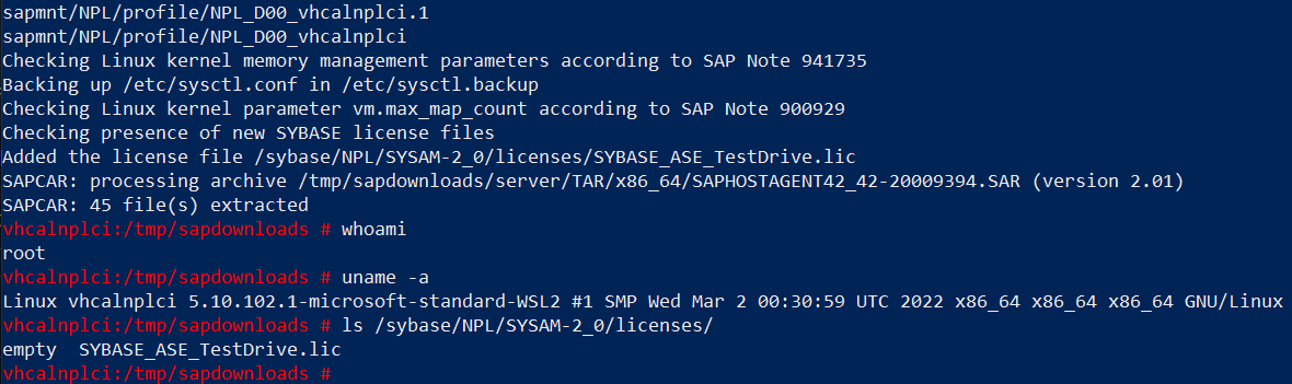 SAP installation stuck at "SAPCAR: 45 file(s) extracted" · Issue #15 · brandoncaulfield/sap-nw ...