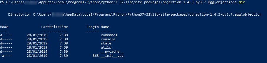 Issue when starting objection · Issue #178 · sensepost/objection · GitHub