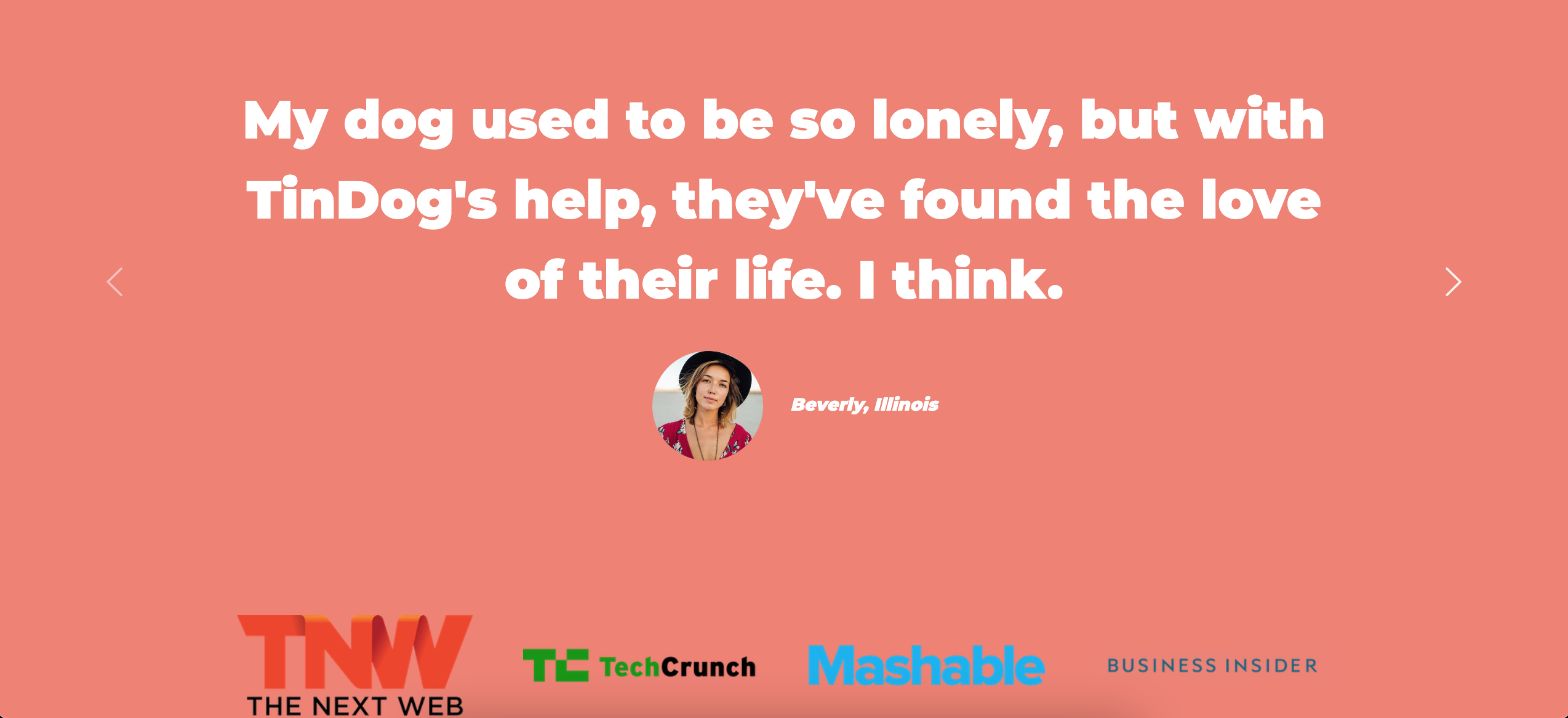 GitHub - utsavpj/Tindog: A website build on HTML,CSS and bootstrap