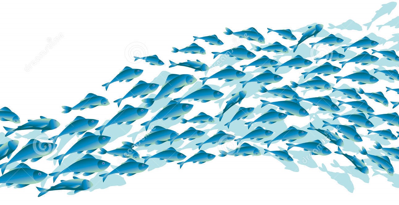 GitHub - mainkoon81/Toy04-Complex-System-Intro