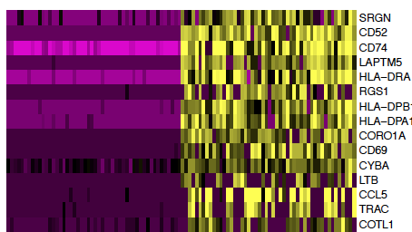 How to change the order of genes in DimHeatmap() plot in Seurat V3 ...