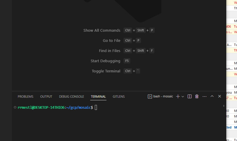 Terminal shell default not loading upon startup of VSCode · Issue ...