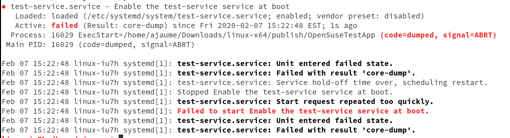 Running Netcore 31 Console App As A Systemd Service Not Working On Opensuse 150 · Issue 2947 