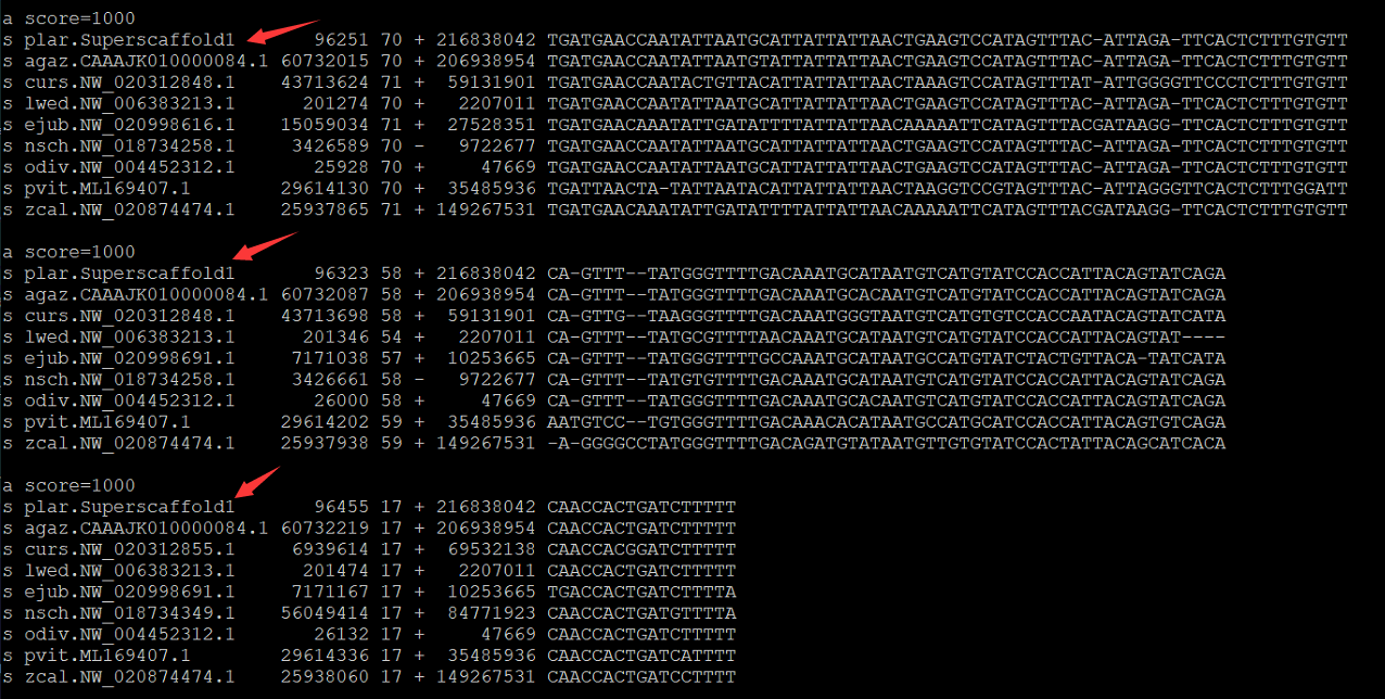 run phastcons with warnings · Issue #22 · CshlSiepelLab/phast · GitHub