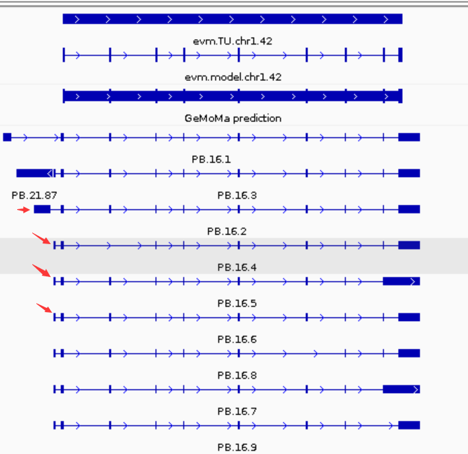 Why the EVM model result does not consistent with the PB data? · Issue #39 · EVidenceModeler ...