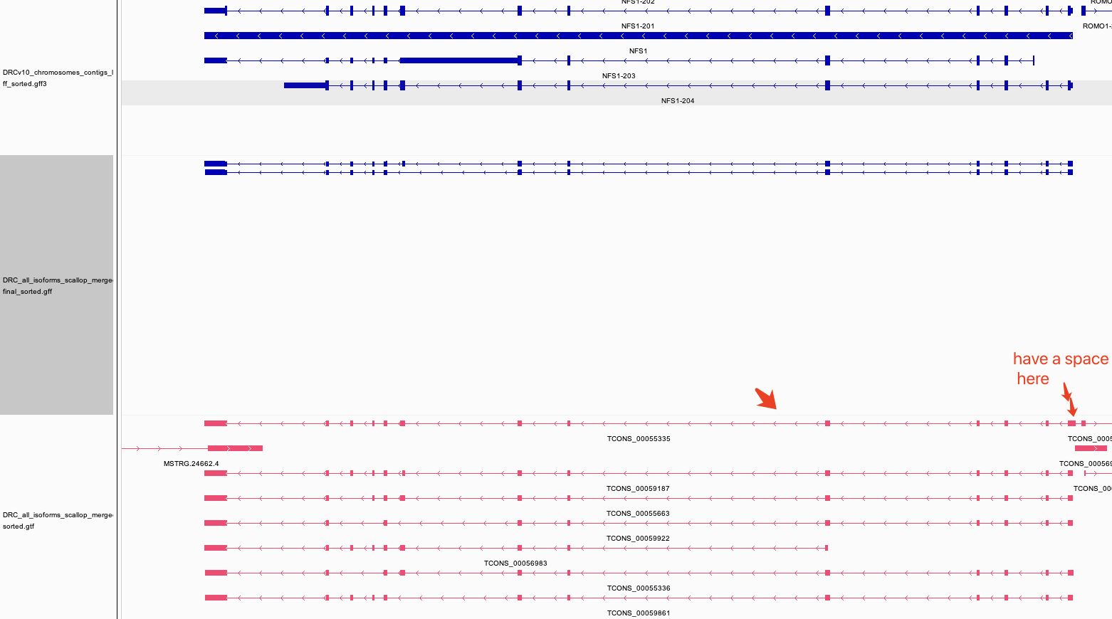 How does the Transdecoder add the UTR into the pacbio RNA sequence? · Issue #140 · TransDecoder ...