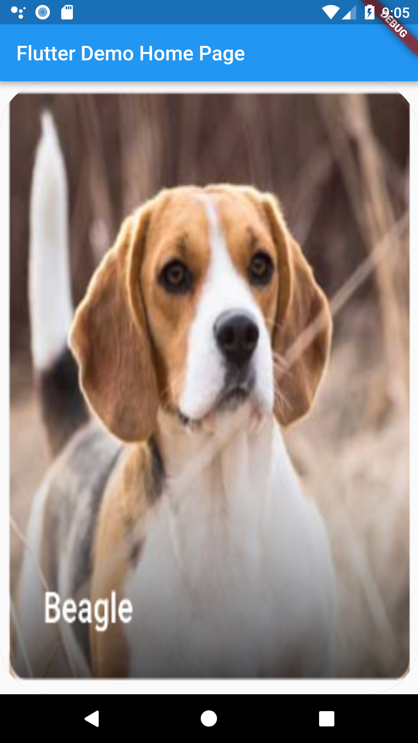 Ink.image doesn't respect ClipRRect's border radius · Issue #30193 · flutter/flutter · GitHub