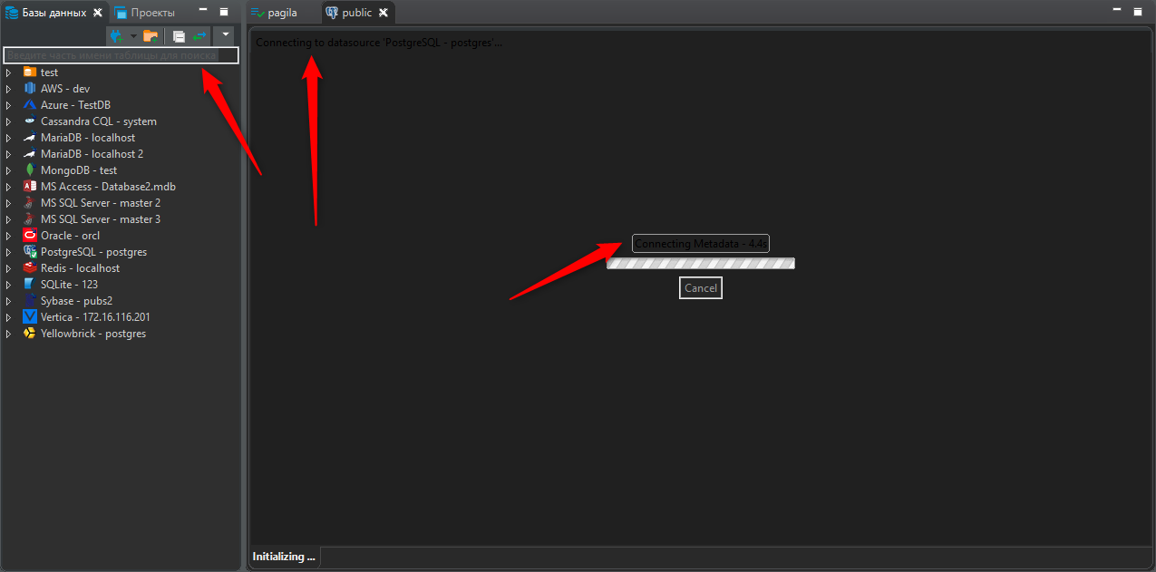 Text isn't visible while db element is loading · Issue #5115 · dbeaver/dbeaver · GitHub