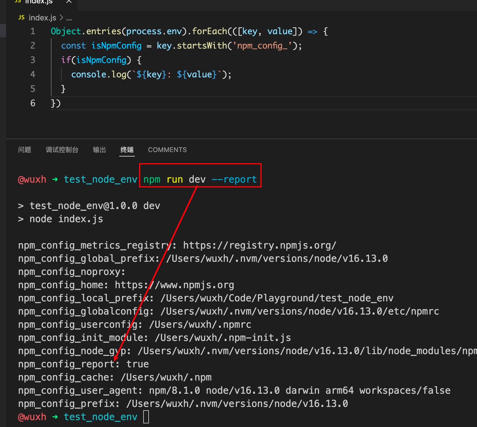 bug: `nr ` lost `npm_config_` env · Issue #55 · antfu-collective/ni ...
