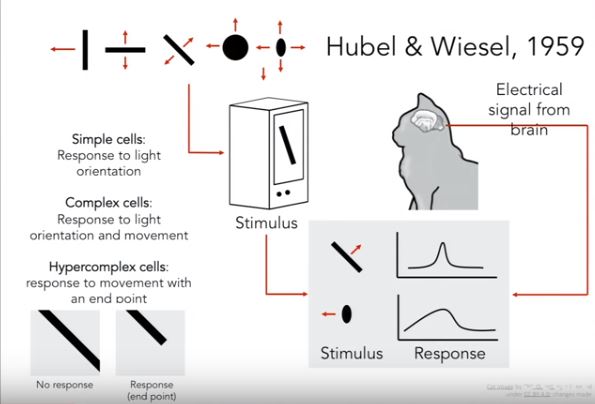 Deep_learning/CS231n 1강~2강(혜주).md at master · YBIGTA/Deep_learning · GitHub