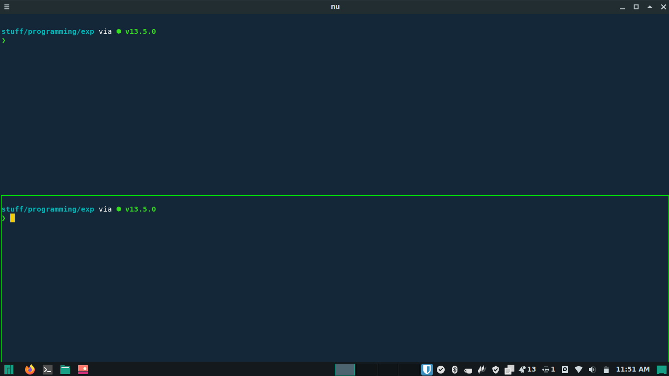 Using terminal editors and then resizing, causes random nu prompt stuff to mash up randomly with ...