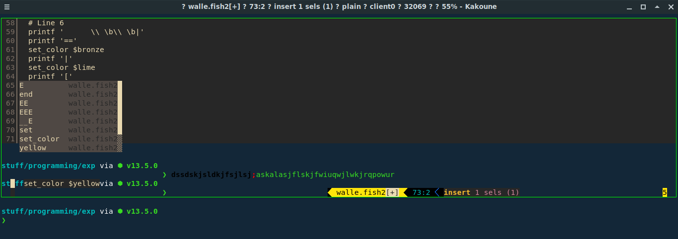 Using terminal editors and then resizing, causes random nu prompt stuff ...