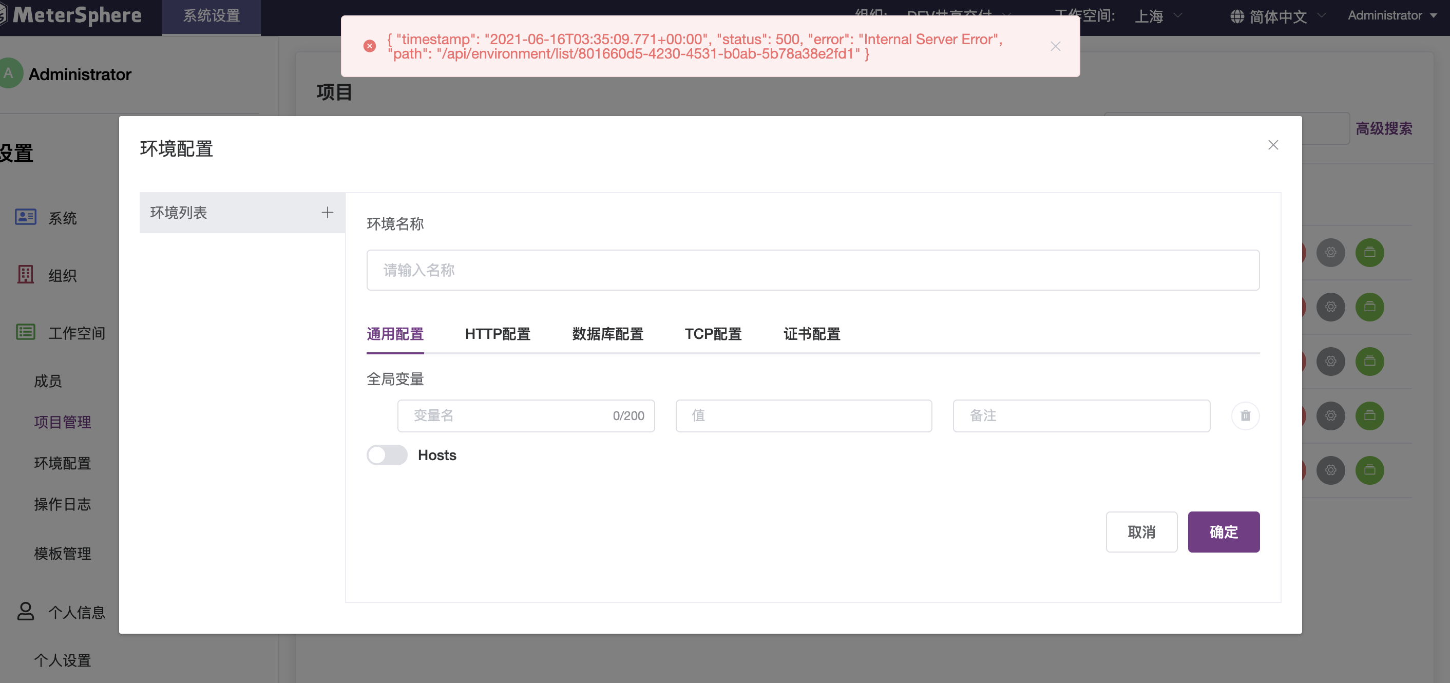 Bug 工作空间下项目删除失败，报500错误，编辑环境变量也会出现错误 · Issue 3838 · Meterspheremetersphere · Github 