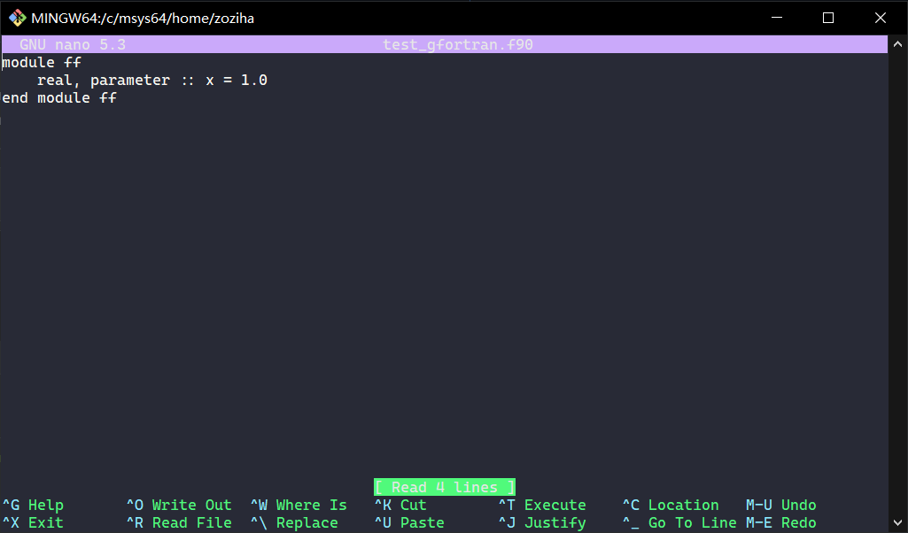 [ucrt] msys2-ucrt64-gfortran 10.2.0: error compiling the _parameter_ variable in the module ...