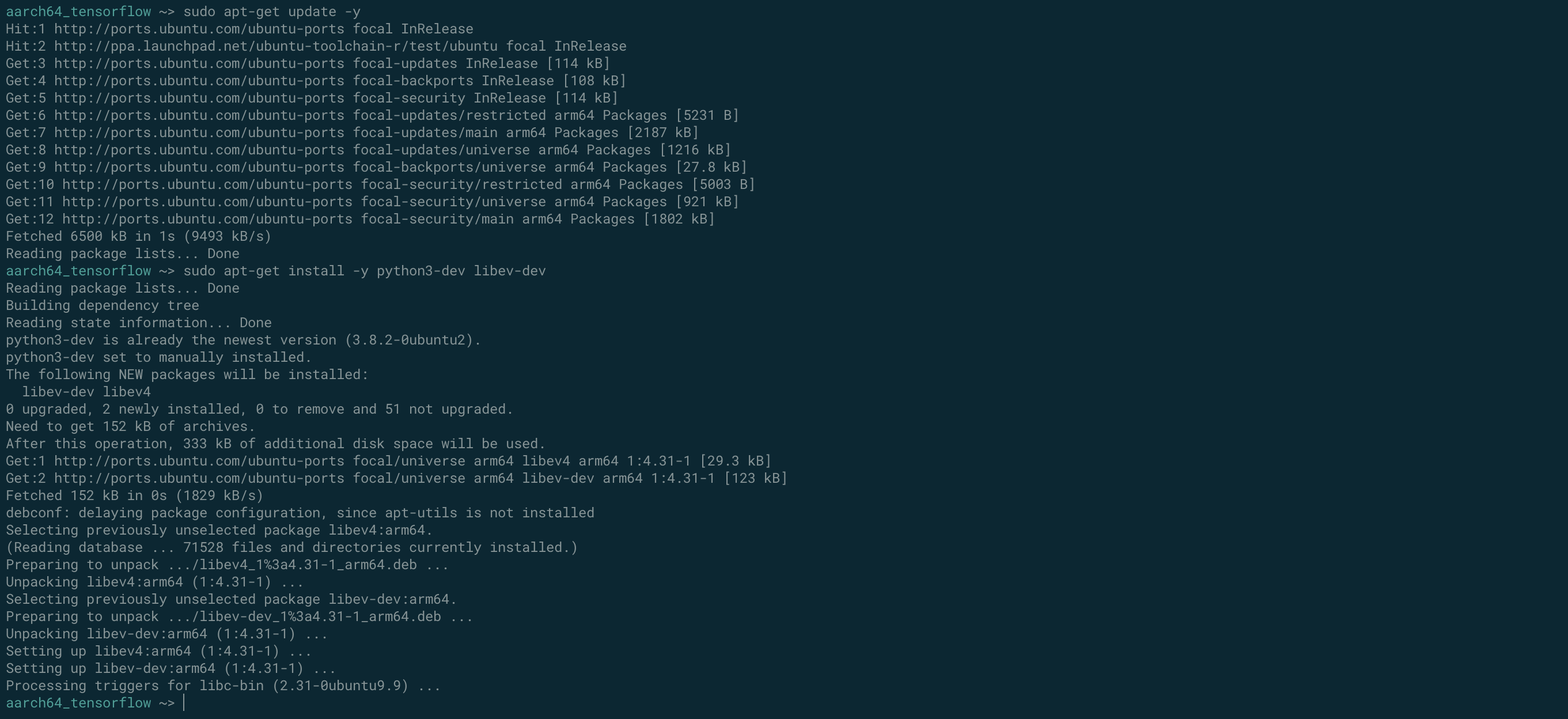 apt (tensorflow-arm-neoverse): E: Could not open lock file /var/lib/apt/lists/lock - open (13 ...