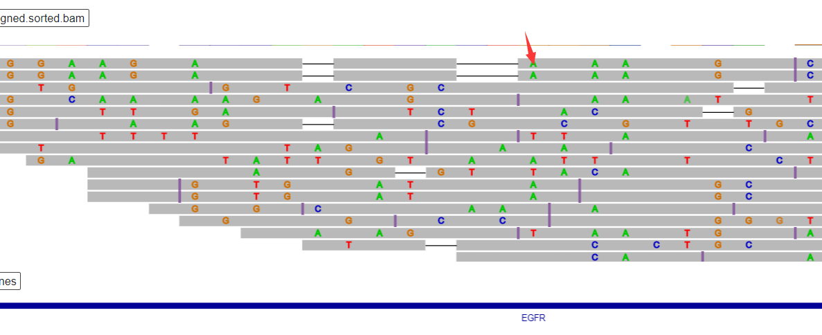 browser no response when use igv web · Issue #1193 · igvteam/igv.js · GitHub