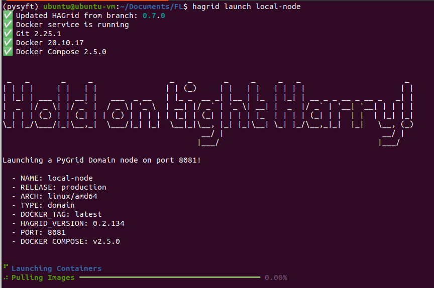 Hagrid Launch Local Node Terminal Stuck At Pulling Images 0 · Issue 7459 · Openmined