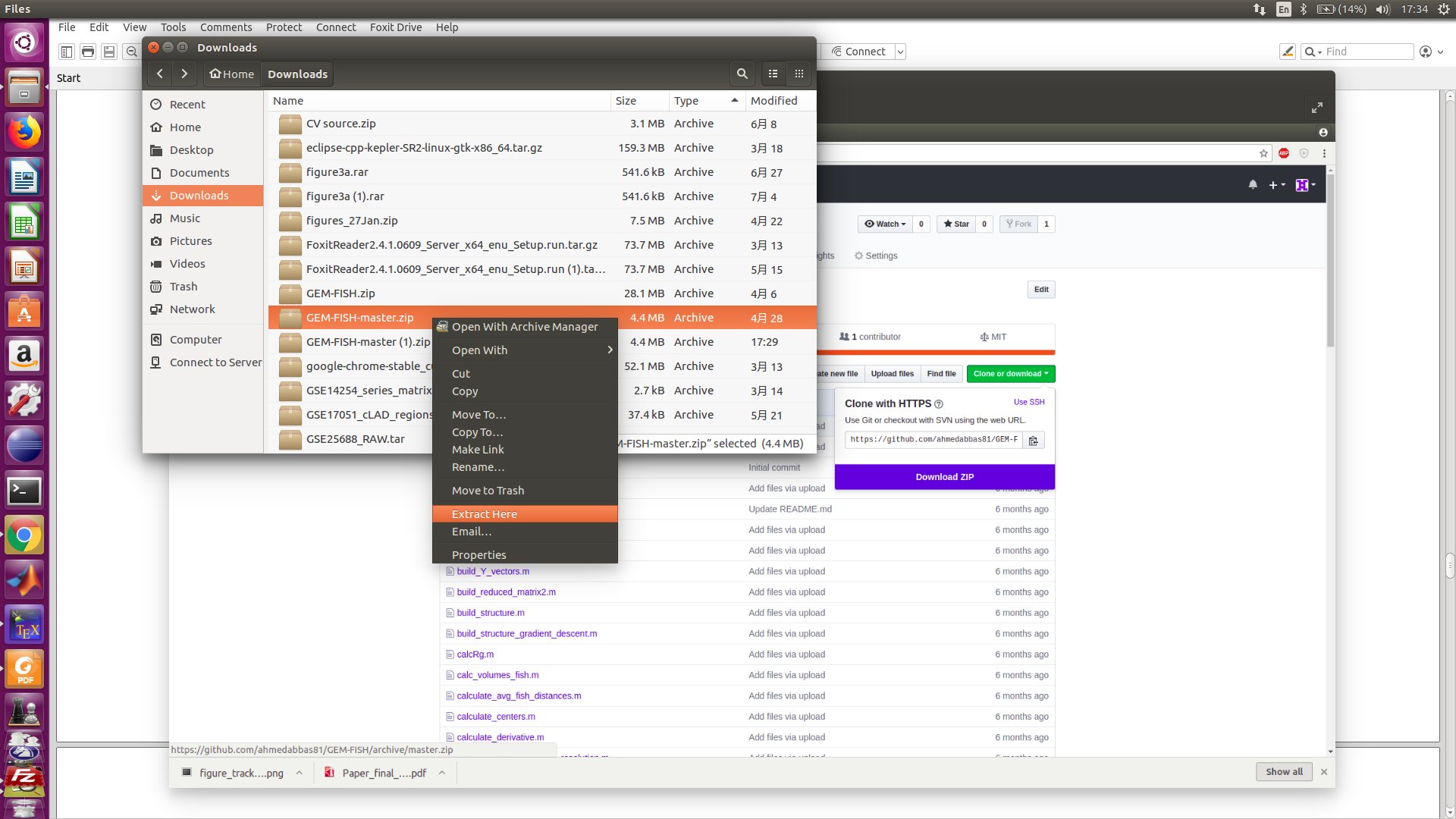 GitHub - ahmedabbas81/GEM-FISH