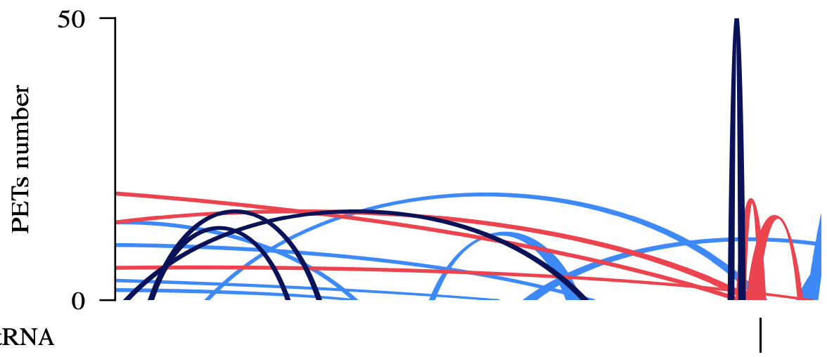 range limits on plotPairsArches · Issue #48 · PhanstielLab/plotgardener · GitHub