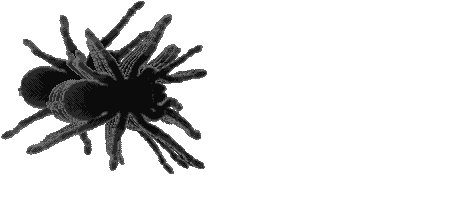 Gif With Transparent Mask Import Error Issue 2 Bunkahle Gif2numpy