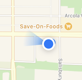 Not able to visualize direction user is currently facing · Issue #3905 · react-native-maps/react ...