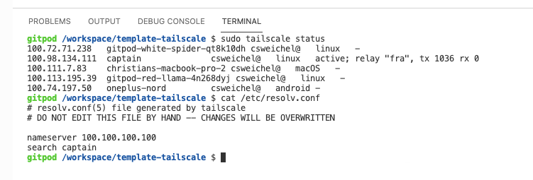 [tailscale] MagicDNS doesn't work · Issue #6457 · gitpod-io/gitpod · GitHub