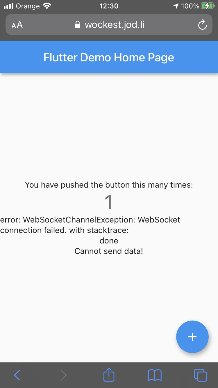 Only on iOS: "Cannot receive: websocket: close 1006 (abnormal closure): unexpected EOF" · Issue ...