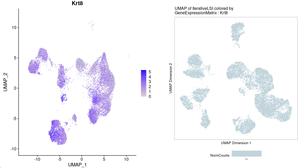 Problem with import10xFeatureMatrix · Issue #507 · GreenleafLab/ArchR · GitHub