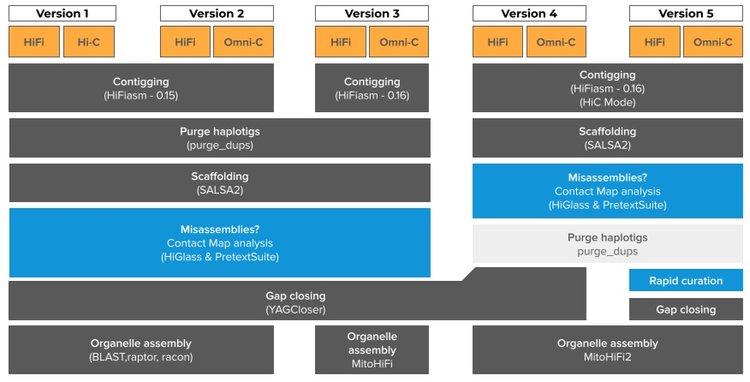 GitHub - ccgproject/ccgp_assembly: CCGP Repository for the genome ...