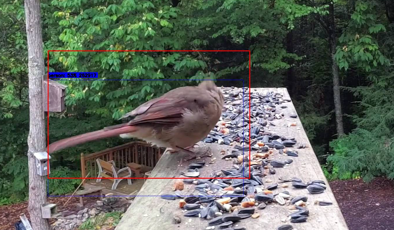 [Detector Support]: Bird Detection Accuracy · Issue #6975 ...