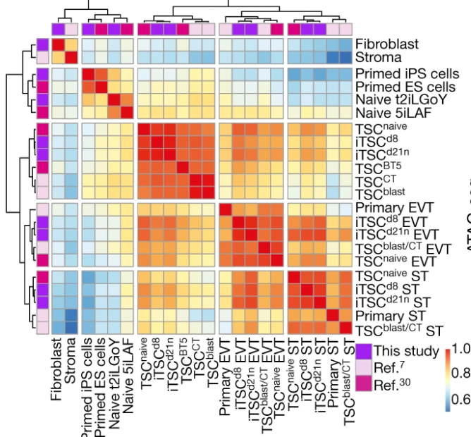 separate cell/box annotation · Issue #607 · jokergoo/ComplexHeatmap ...