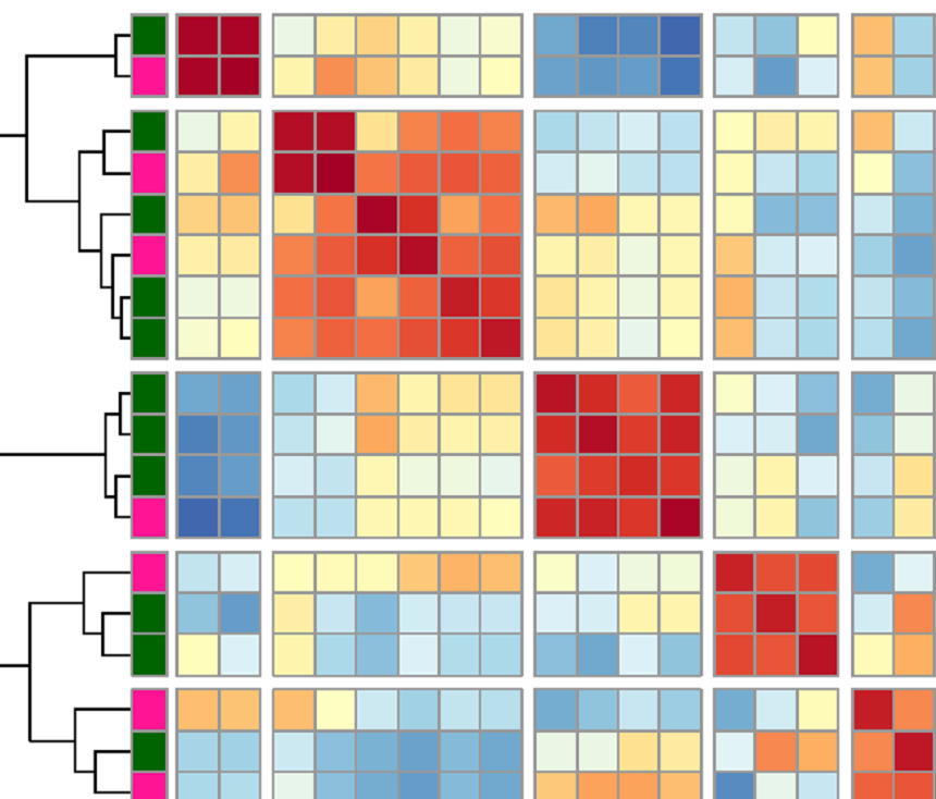 separate cell/box annotation · Issue #607 · jokergoo/ComplexHeatmap ...