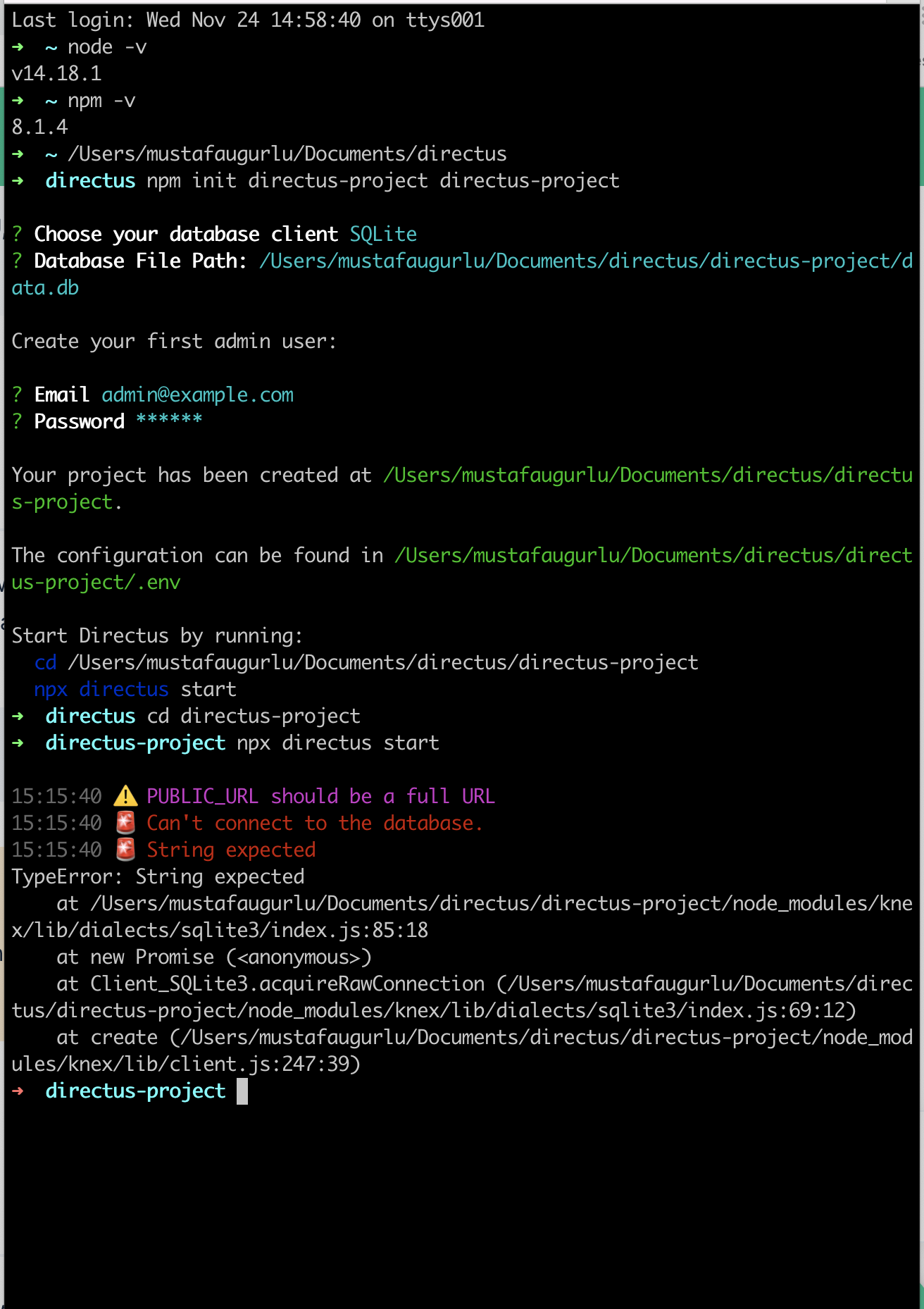 I can't run it with sqlite · Issue #10022 · directus/directus · GitHub