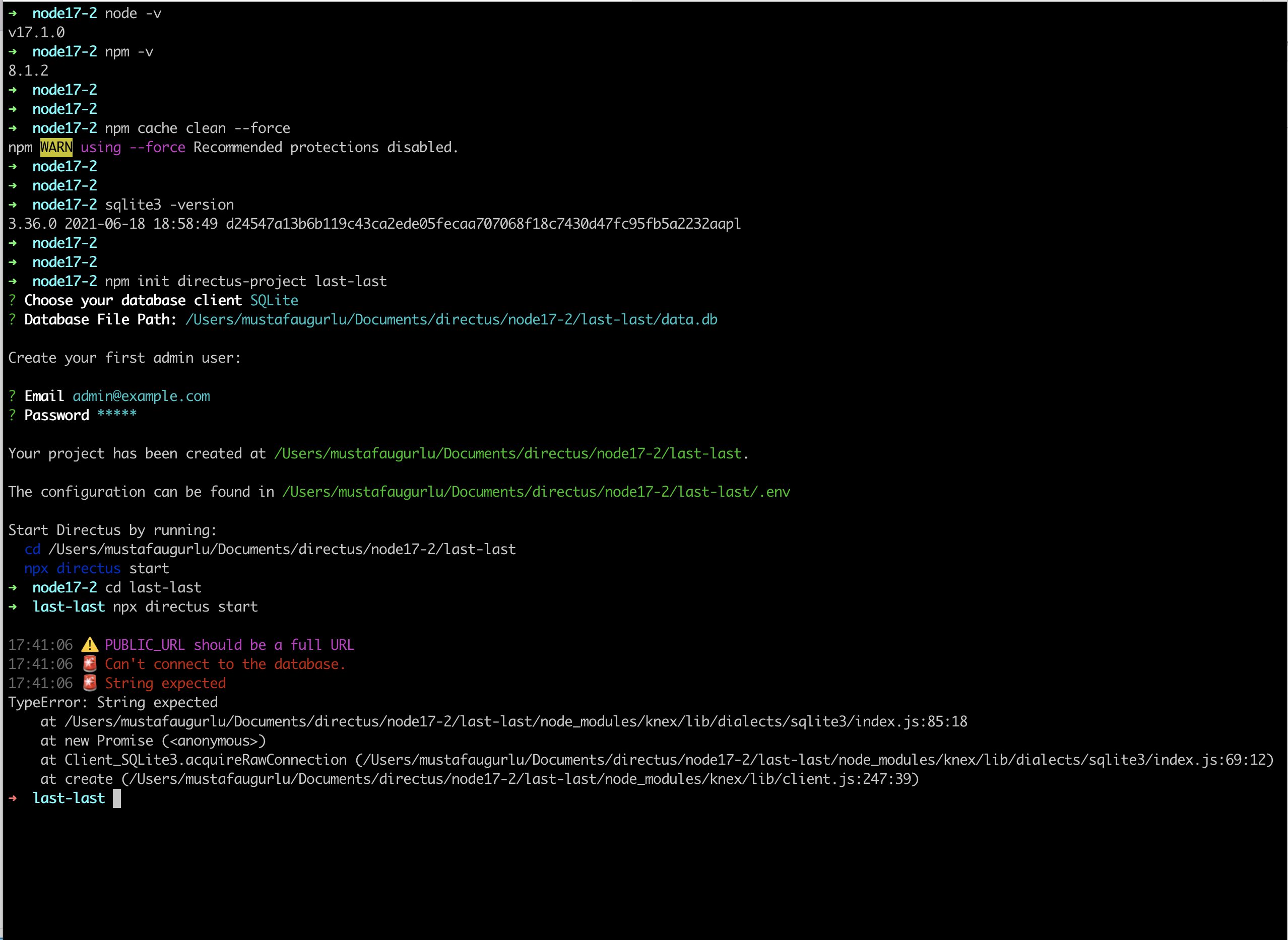 I can't run it with sqlite · Issue #10022 · directus/directus · GitHub