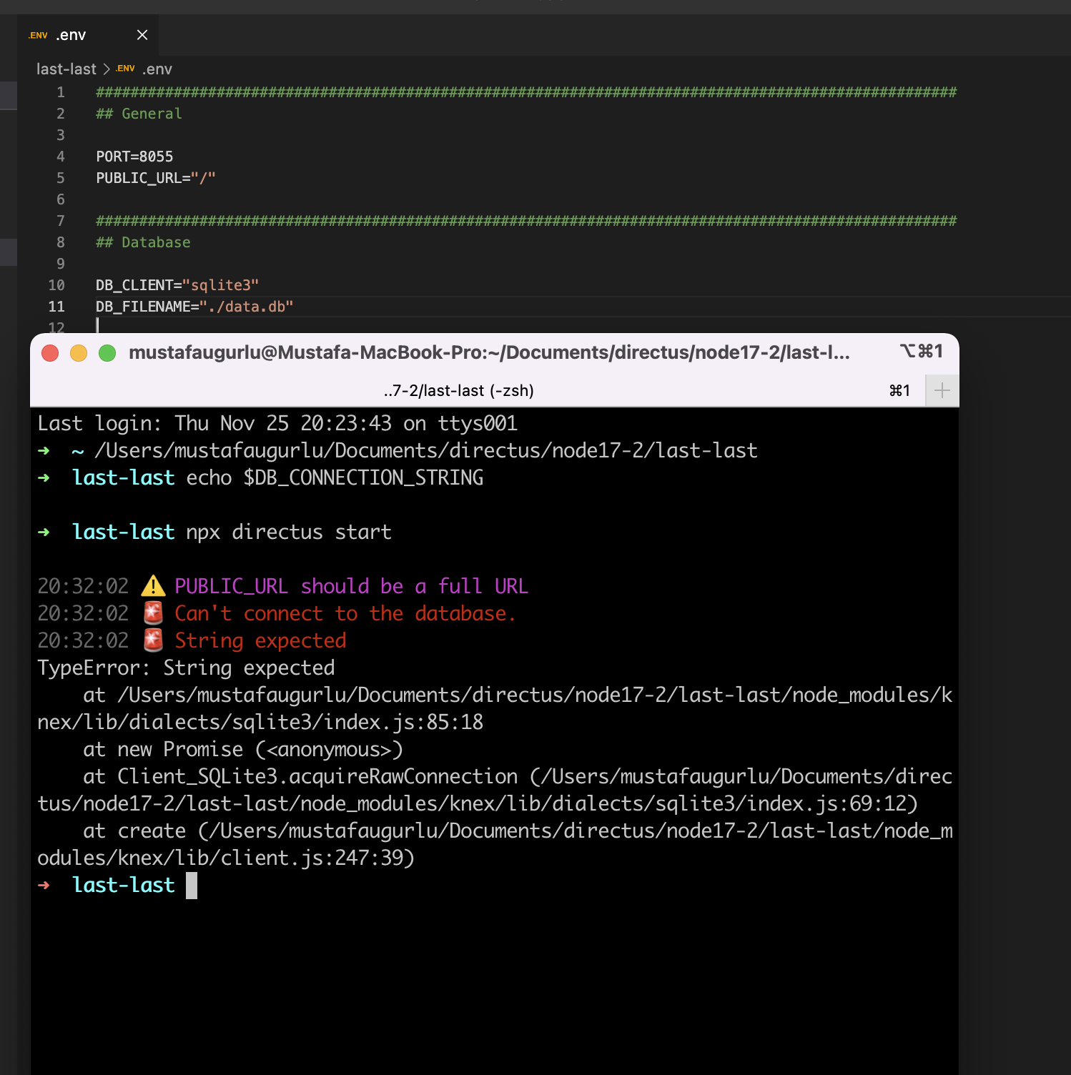 I can't run it with sqlite · Issue #10022 · directus/directus · GitHub