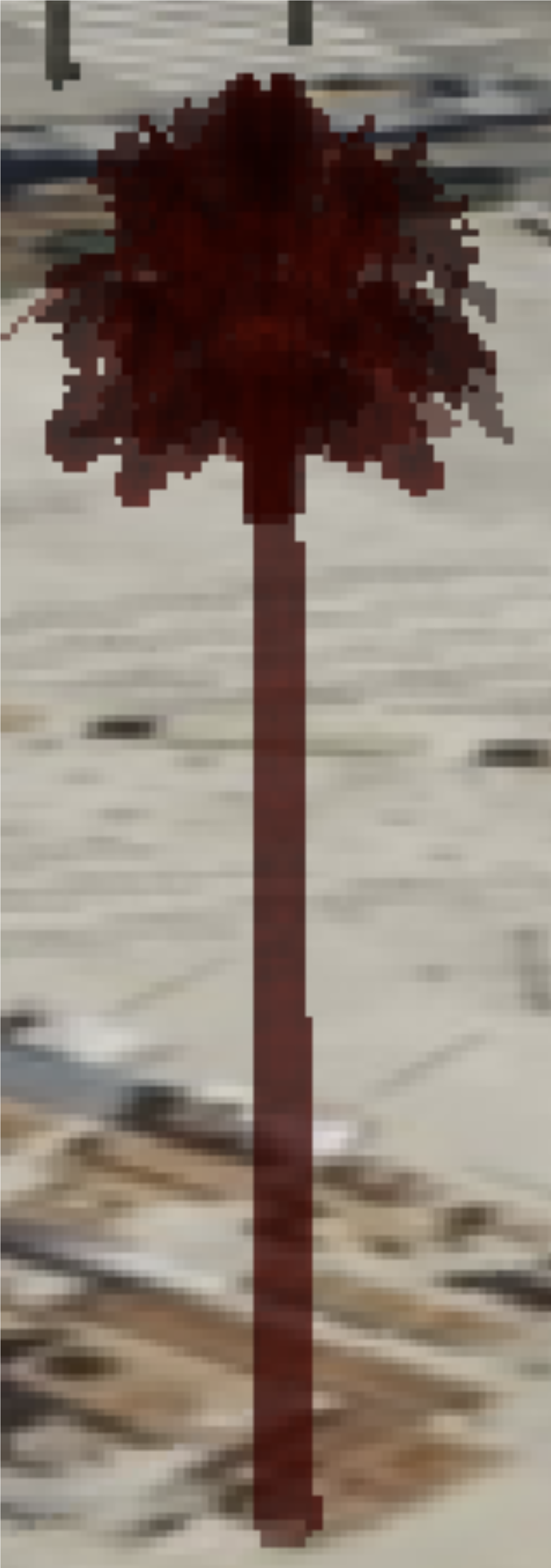 Cdb San Diego Trees Render Incorrectly With Translucent Style Applied 