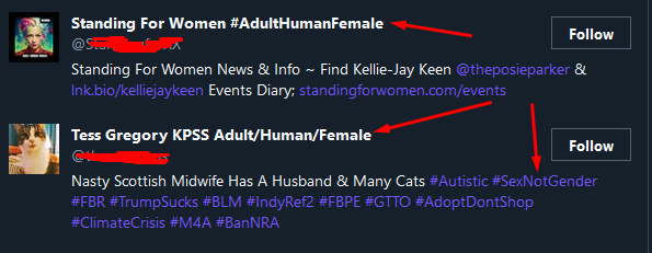 De-Politificator for anti-trans tweets · Issue #755 · DandelionSprout/adfilt · GitHub