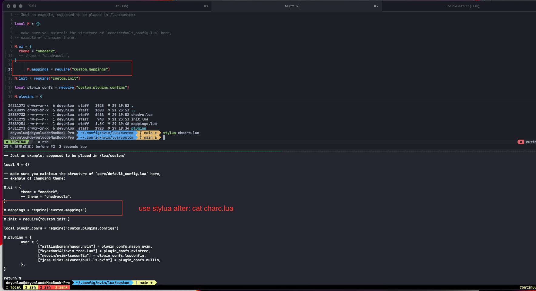format stylua not working · Issue #1613 · NvChad/NvChad · GitHub