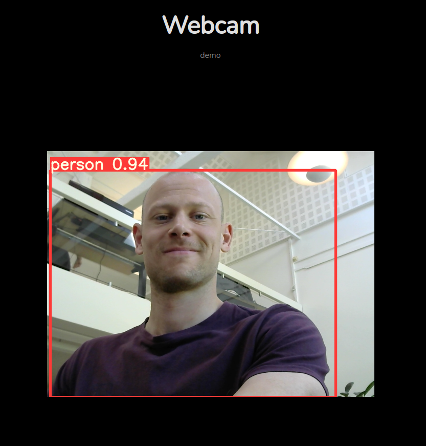GitHub - HamidBekamiri/emily-object-detector