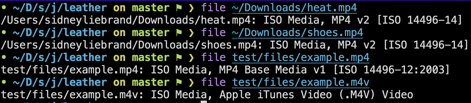 Problem reading dimensions of MP4 files · Issue #9 · SidOfc/leather · GitHub