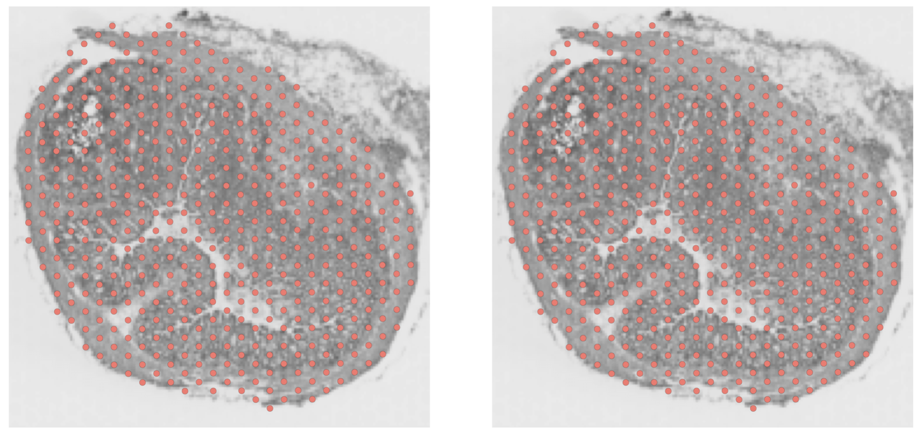 Load10X_Spatial {Seurat} -- Error · Issue #7530 · satijalab/seurat · GitHub