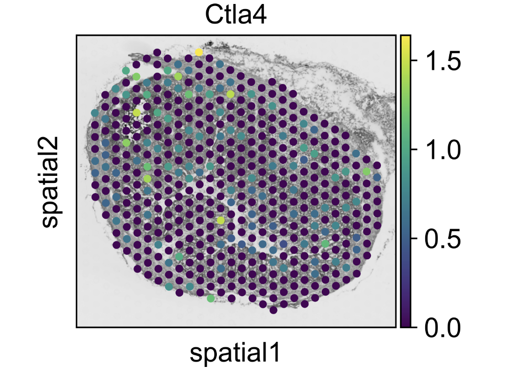transparents spatial spots for zero counts · Issue #736 · scverse/squidpy · GitHub