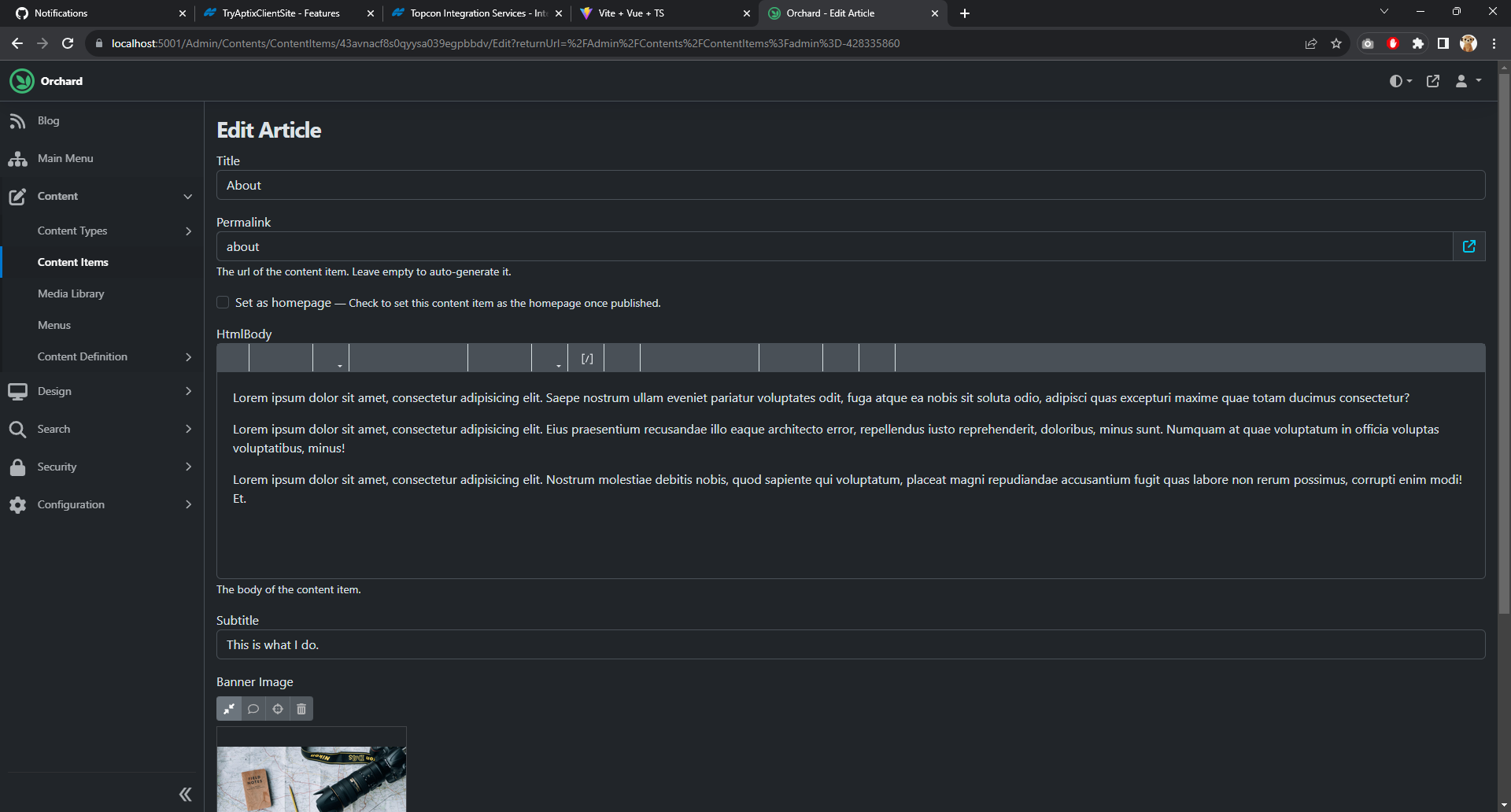 Dark mode: Wysiwyg editor broken · Issue #14396 · OrchardCMS/OrchardCore · GitHub