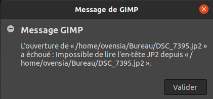 Can't open jp2 files exported with 3.8.0 on Ubuntu 20.04 · Issue #10749 ...