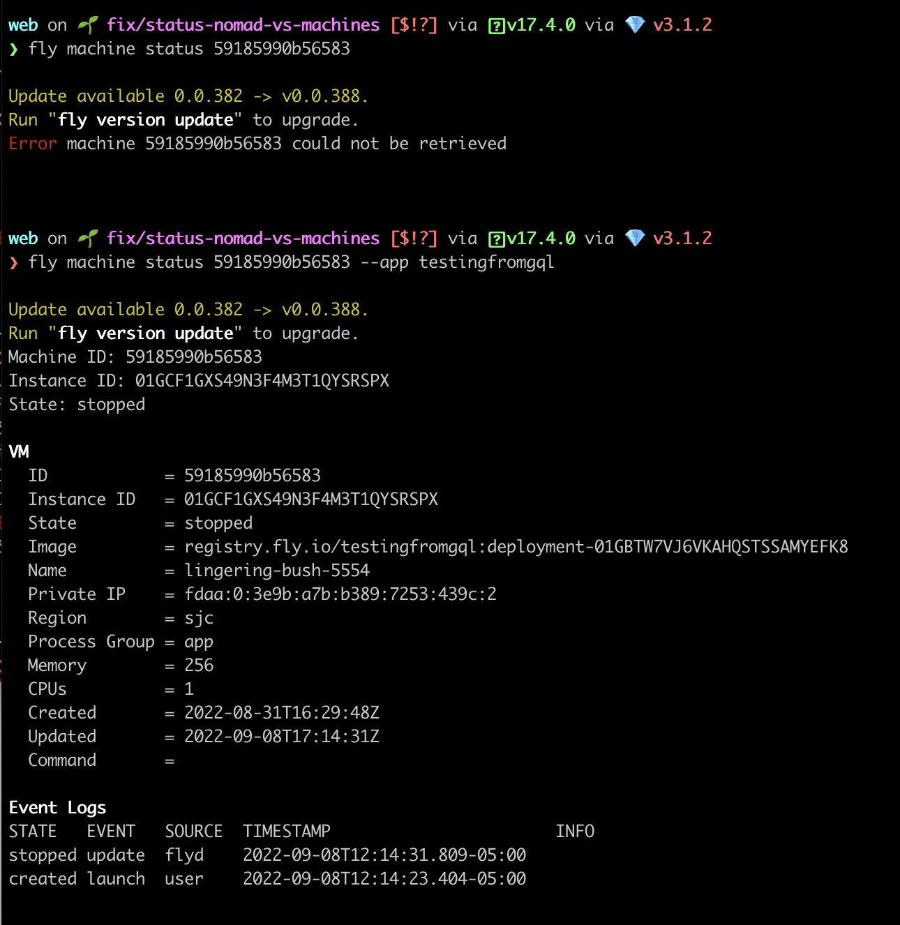 Prompt the user to input flag for machine status · Issue #1264 · superfly/flyctl · GitHub