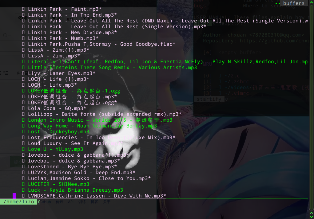 怎么设置vim主题. f9 10可以切换主题. 但是不能保存配置 · Issue #91 · chxuan/vimplus · GitHub